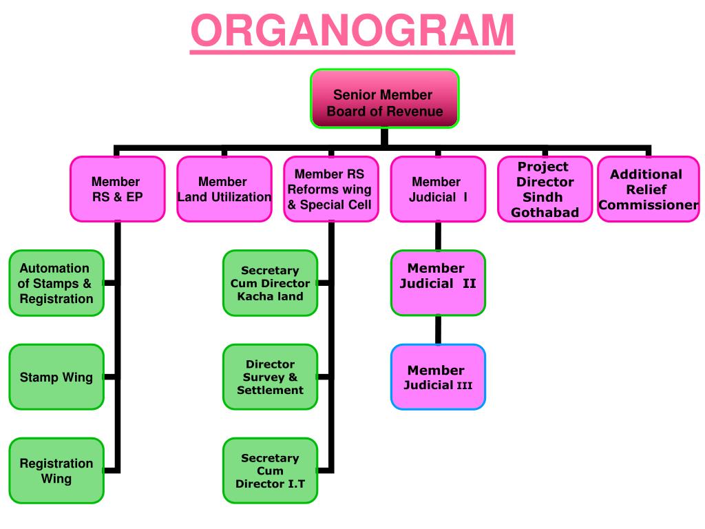PPT - ORGANOGRAM PowerPoint Presentation, free download - ID:5566403