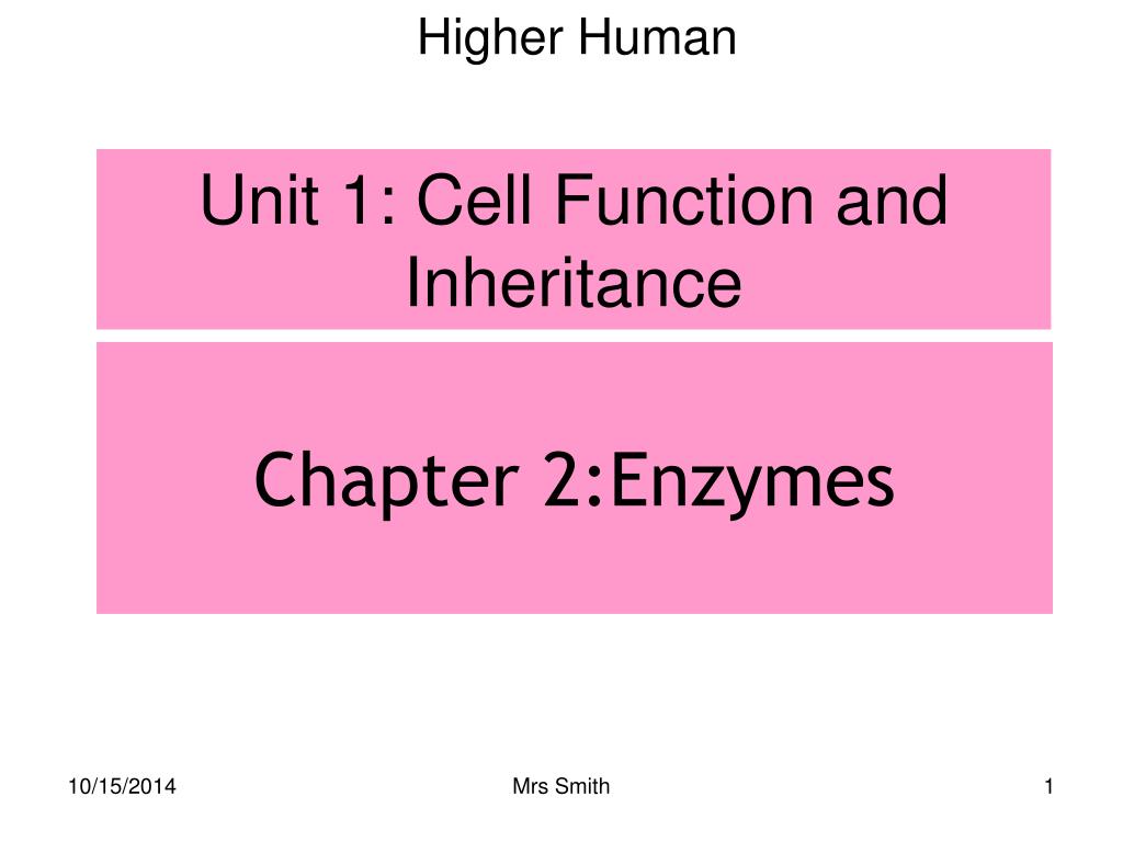 PPT - Chapter 2:Enzymes PowerPoint Presentation, free download - ID:5566824