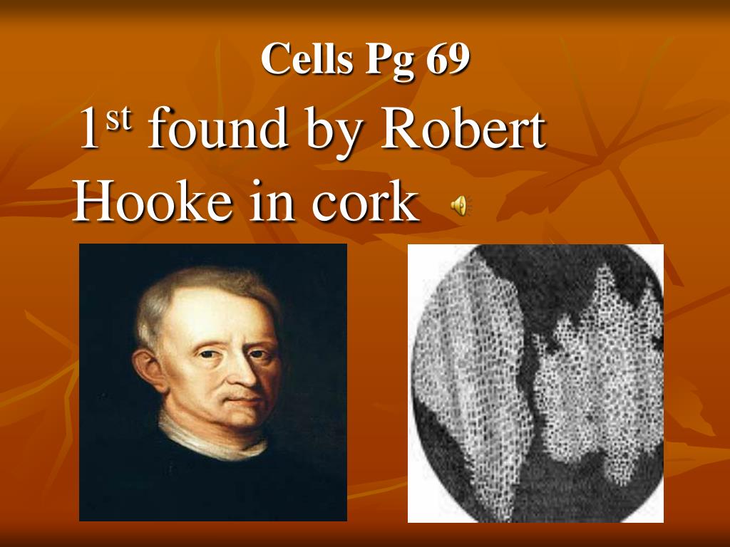 PPT - Cells Pg 69 PowerPoint Presentation, free download - ID:5567245