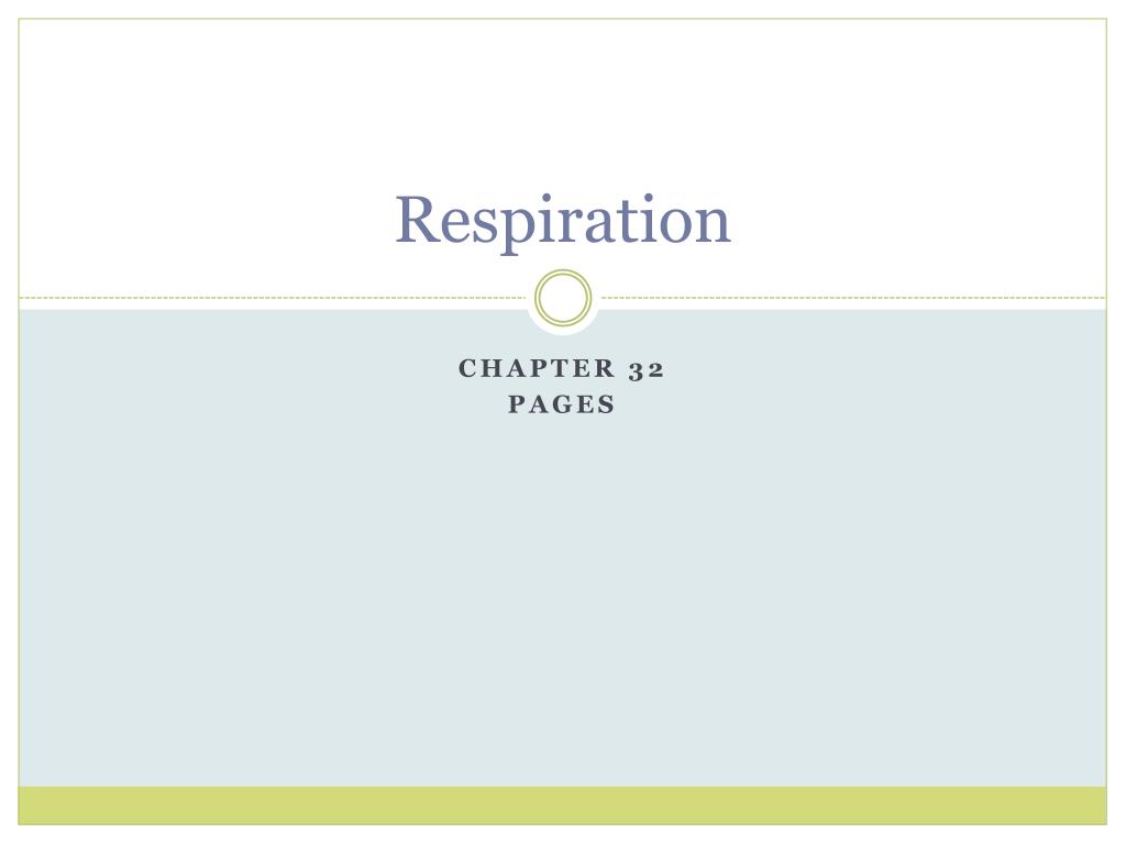 PPT - Respiration PowerPoint Presentation, free download - ID:5568397