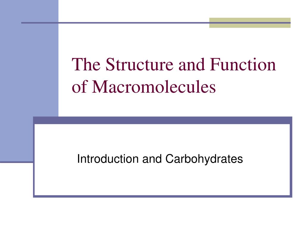 PPT - The Structure and Function of Macromolecules PowerPoint ...