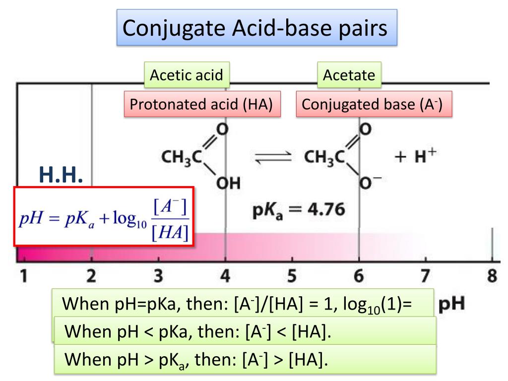 PPT - Conjugate Acid-base pairs PowerPoint Presentation, free download ...