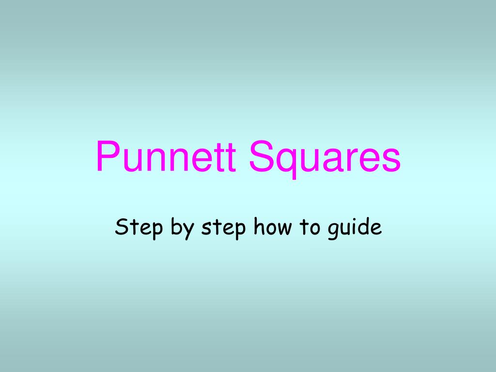 PPT - Punnett Squares PowerPoint Presentation, free download - ID:5578232