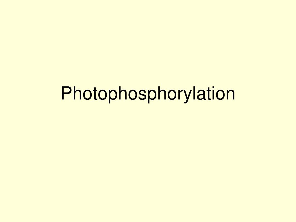 PPT - Photophosphorylation PowerPoint Presentation, free download - ID ...