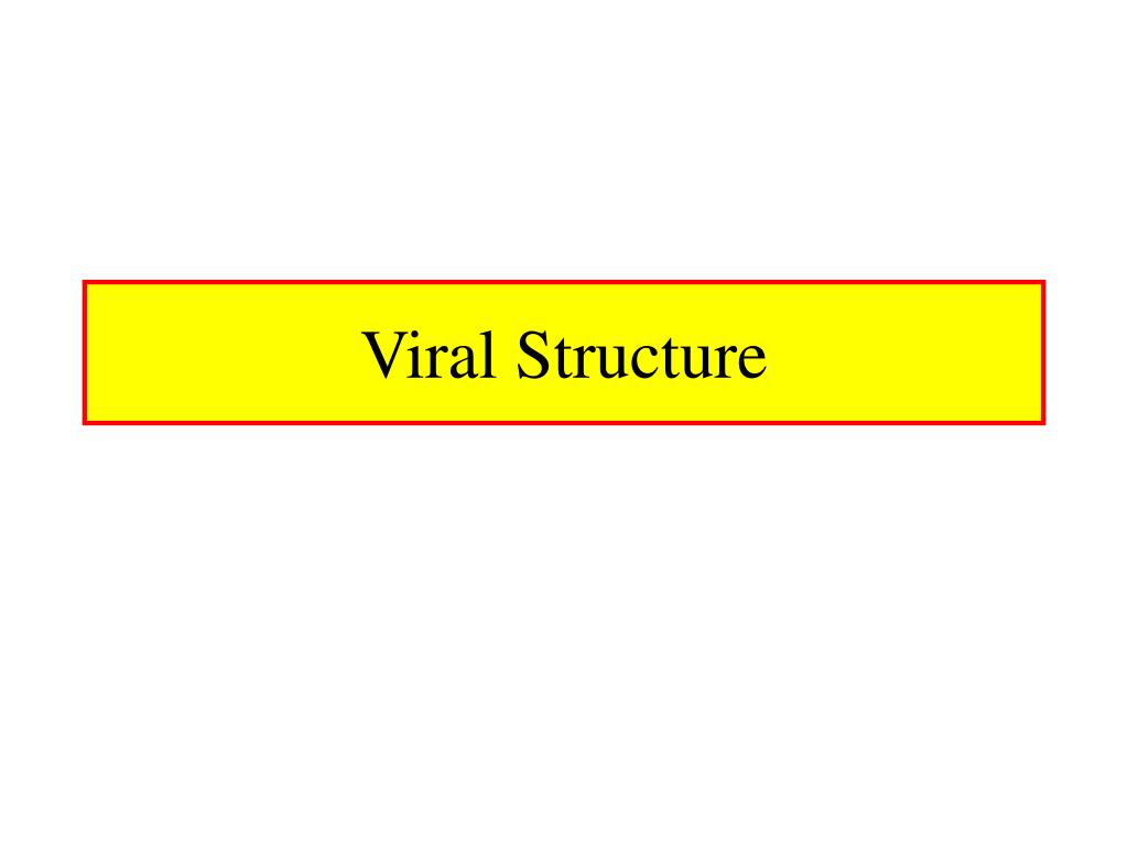 PPT - Viral Structure PowerPoint Presentation, free download - ID:5580029