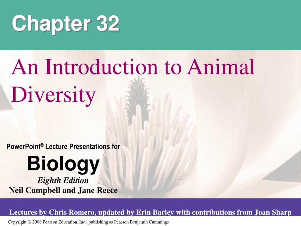 PPT - Chapter 32 PowerPoint Presentation, free download - ID:5580747