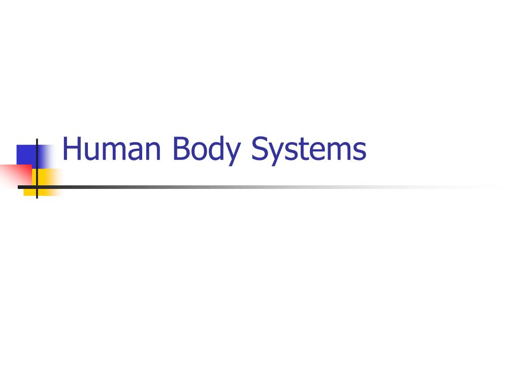 PPT - Human Body Systems PowerPoint Presentation, free download - ID ...