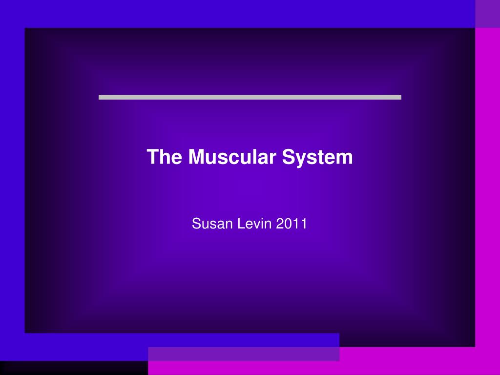 PPT - The Muscular System PowerPoint Presentation, free download - ID ...