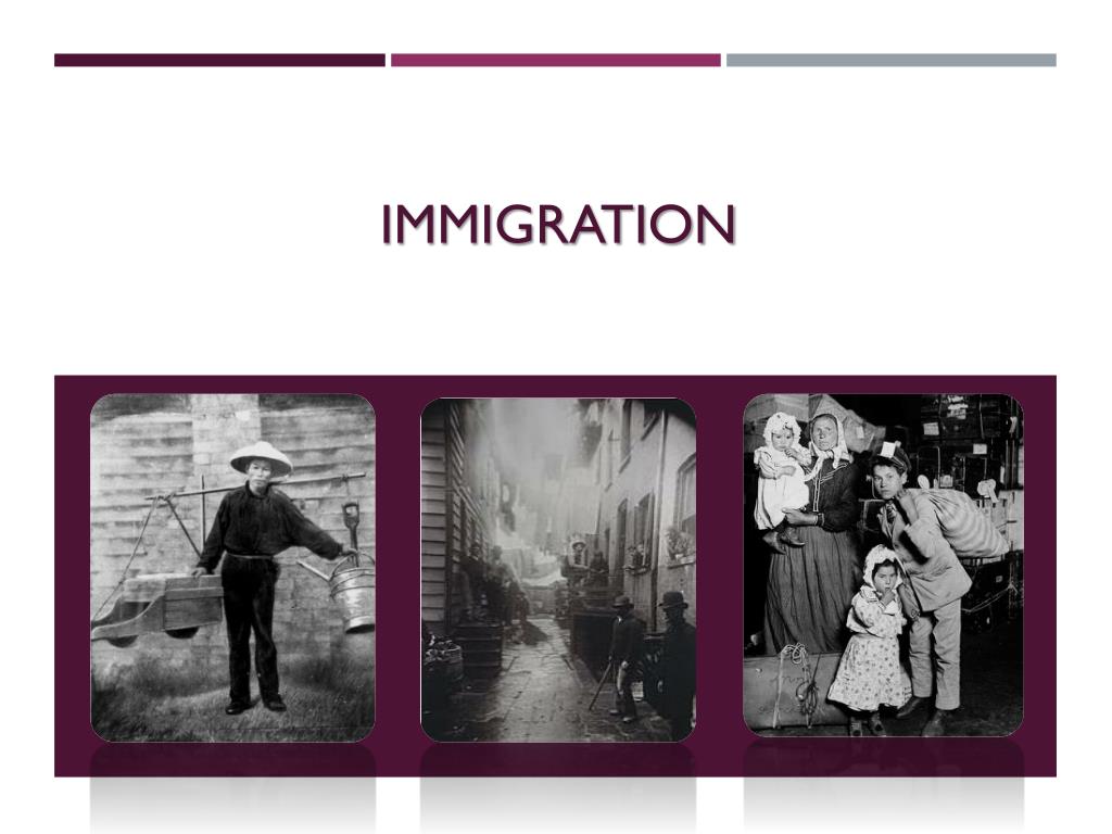 PPT - Immigration PowerPoint Presentation, free download - ID:5581495