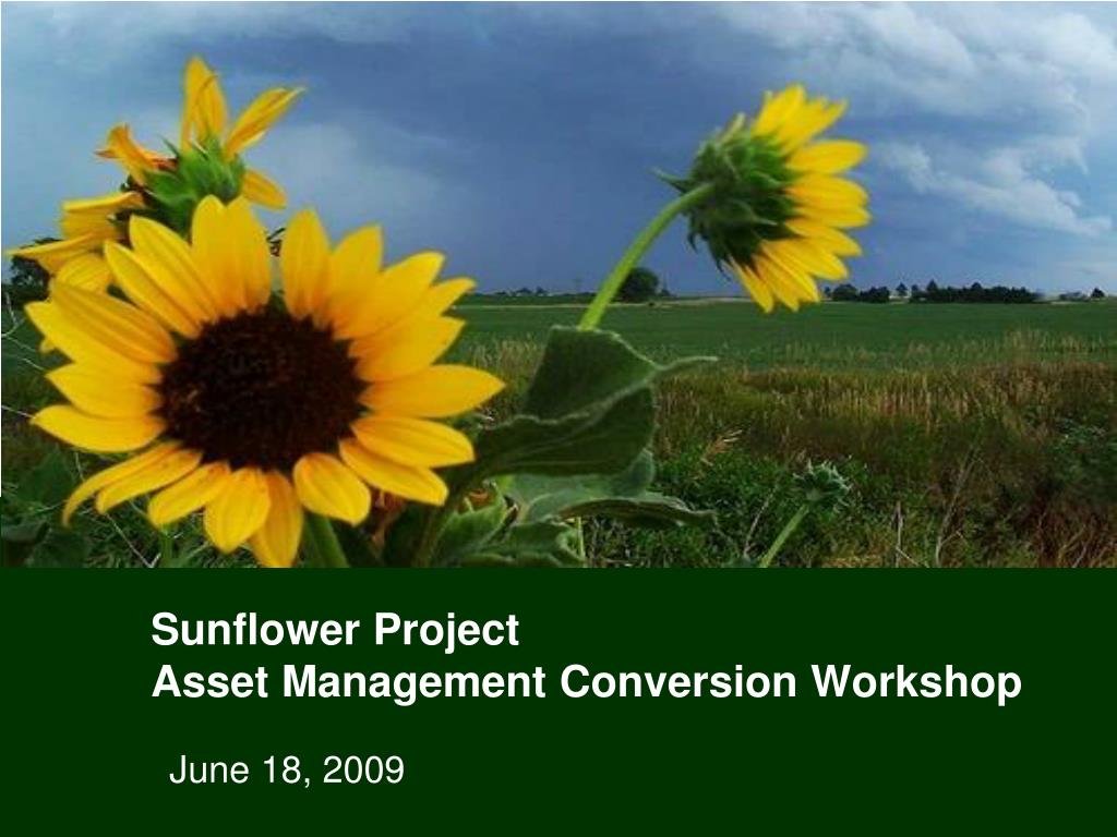 PPT - Sunflower Project Asset Management Conversion Workshop PowerPoint ...