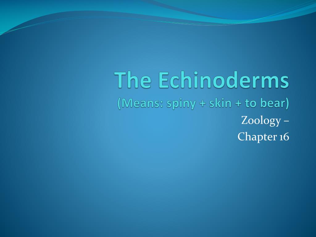 PPT - The Echinoderms (Means: spiny + skin + to bear) PowerPoint ...