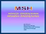 PPT - Melanophore-stimulating hormone (MSH, melanotropin) action on ...