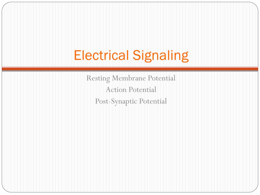 PPT - Electrical Signaling PowerPoint Presentation, free download - ID ...