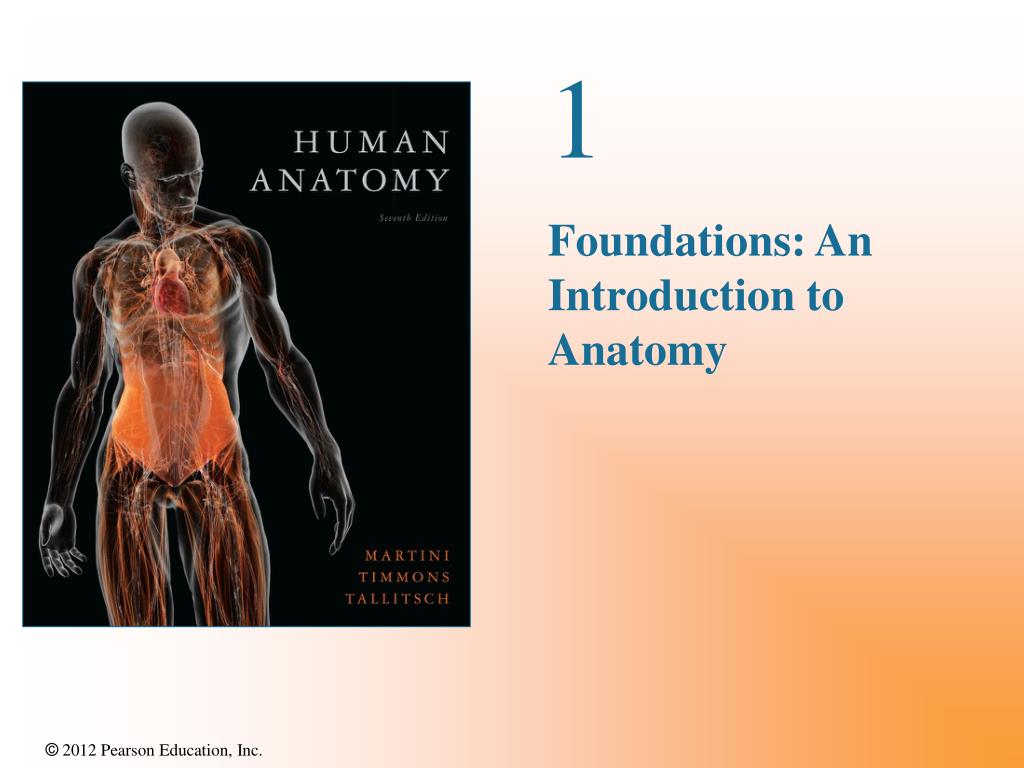 PPT - 1 Foundations: An Introduction to Anatomy PowerPoint Presentation ...
