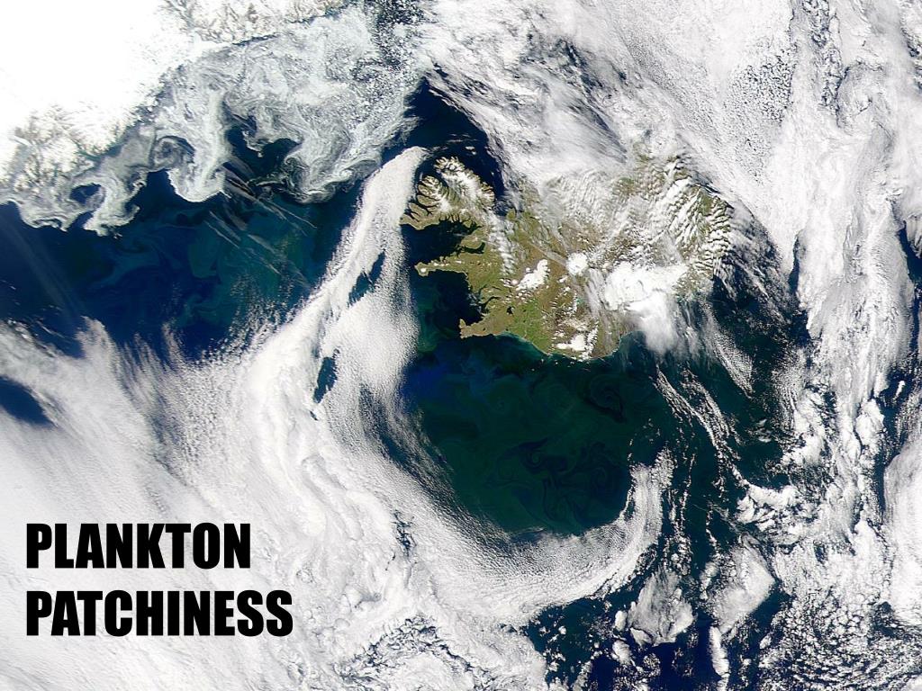 PPT - PLANKTON PATCHINESS PowerPoint Presentation, free download - ID ...