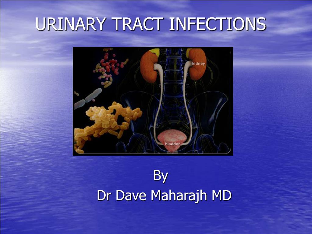 PPT - URINARY TRACT INFECTIONS PowerPoint Presentation, free download ...