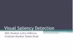 PPT - Introduction of Saliency Map PowerPoint Presentation, free ...