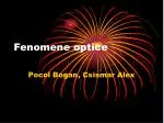 PPT - Fenomene ale naturii PowerPoint Presentation, free download - ID ...