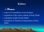 PPT - Pulpy Kidney PowerPoint Presentation, free download - ID:3149688