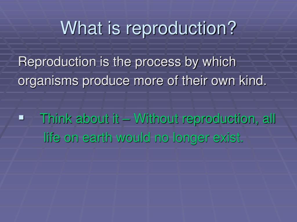 PPT - What is reproduction? PowerPoint Presentation, free download - ID ...