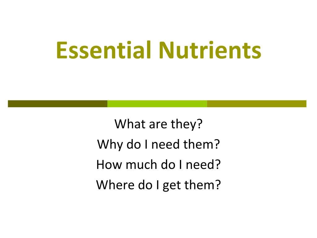 PPT - Essential Nutrients PowerPoint Presentation, free download - ID ...