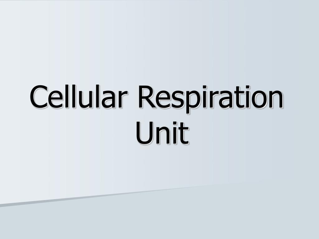 PPT - Cellular Respiration Unit PowerPoint Presentation, free download ...