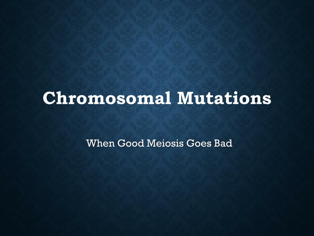 PPT - Chromosomal Mutations PowerPoint Presentation, free download - ID ...