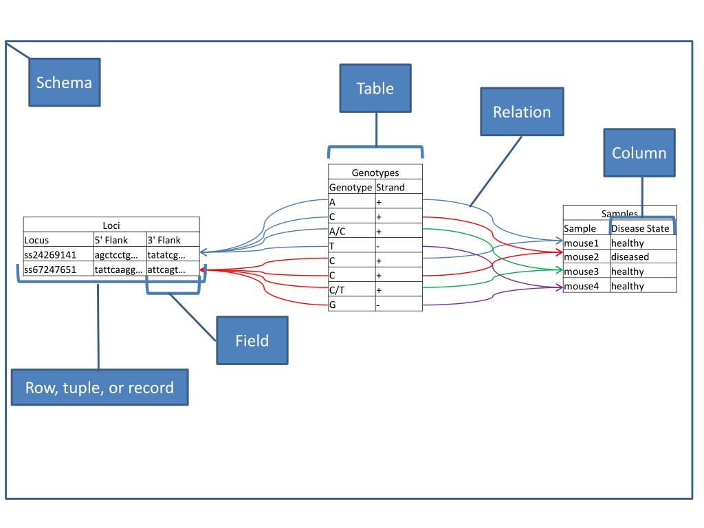 PPT - Schema PowerPoint Presentation, free download - ID:5615566