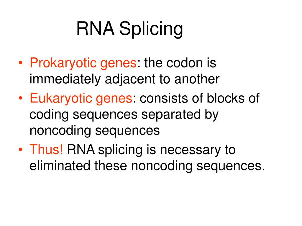 PPT - RNA Splicing PowerPoint Presentation, free download - ID:5615831