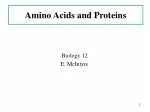 PPT - Amino Acids and Proteins PowerPoint Presentation, free download ...