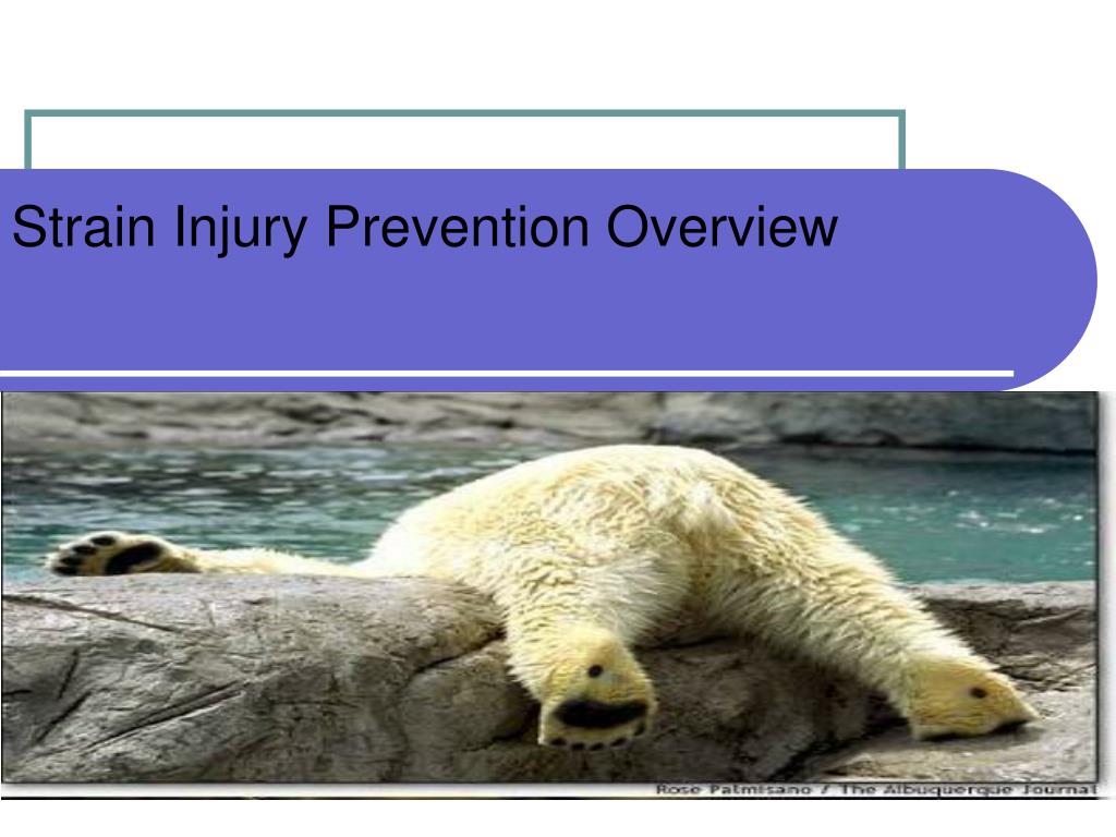 PPT - Strain Injury Prevention Overview PowerPoint Presentation, free ...