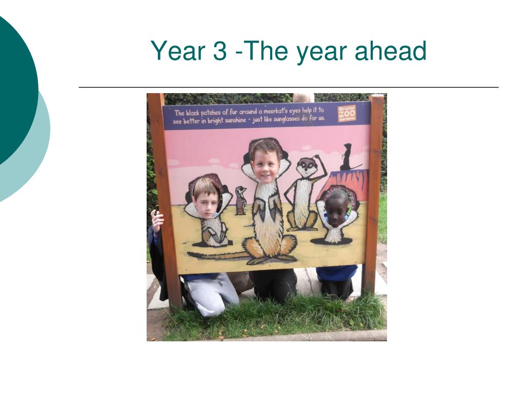 PPT - Year 3 -The year ahead PowerPoint Presentation, free download ...