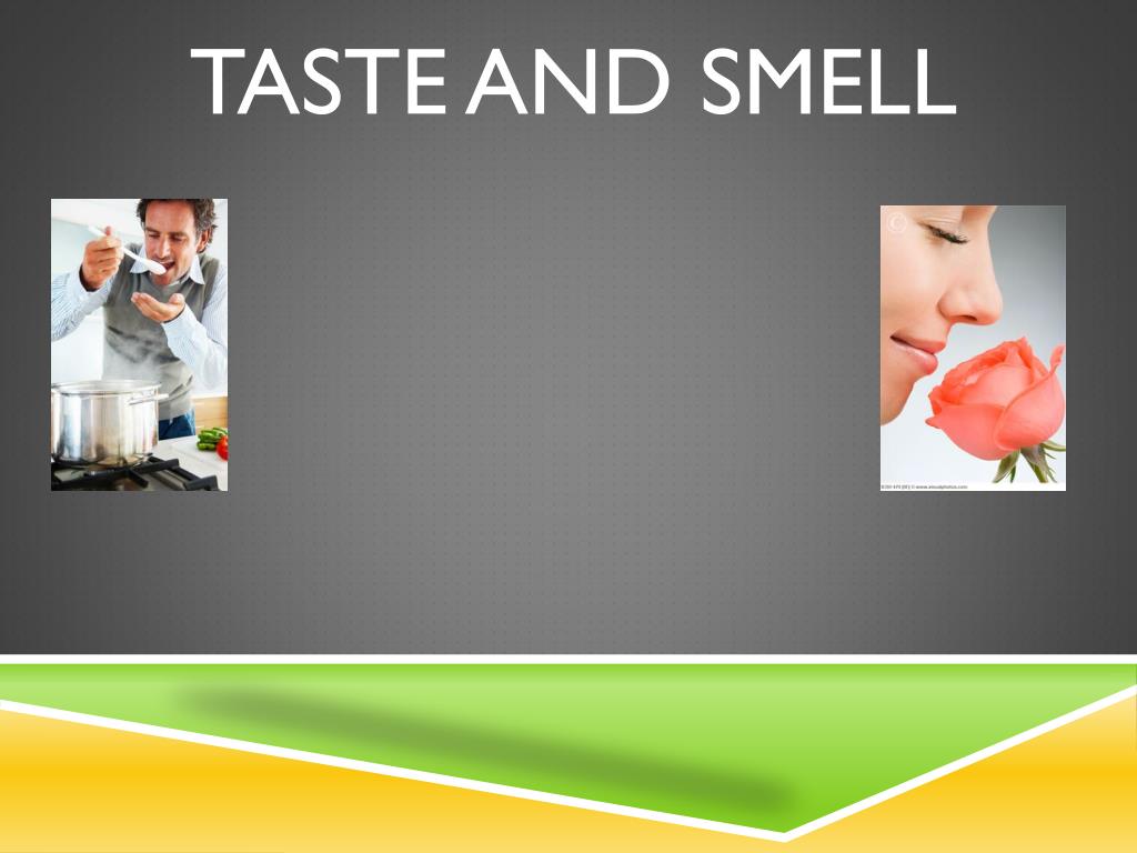 PPT - Taste and Smell PowerPoint Presentation, free download - ID:5618080