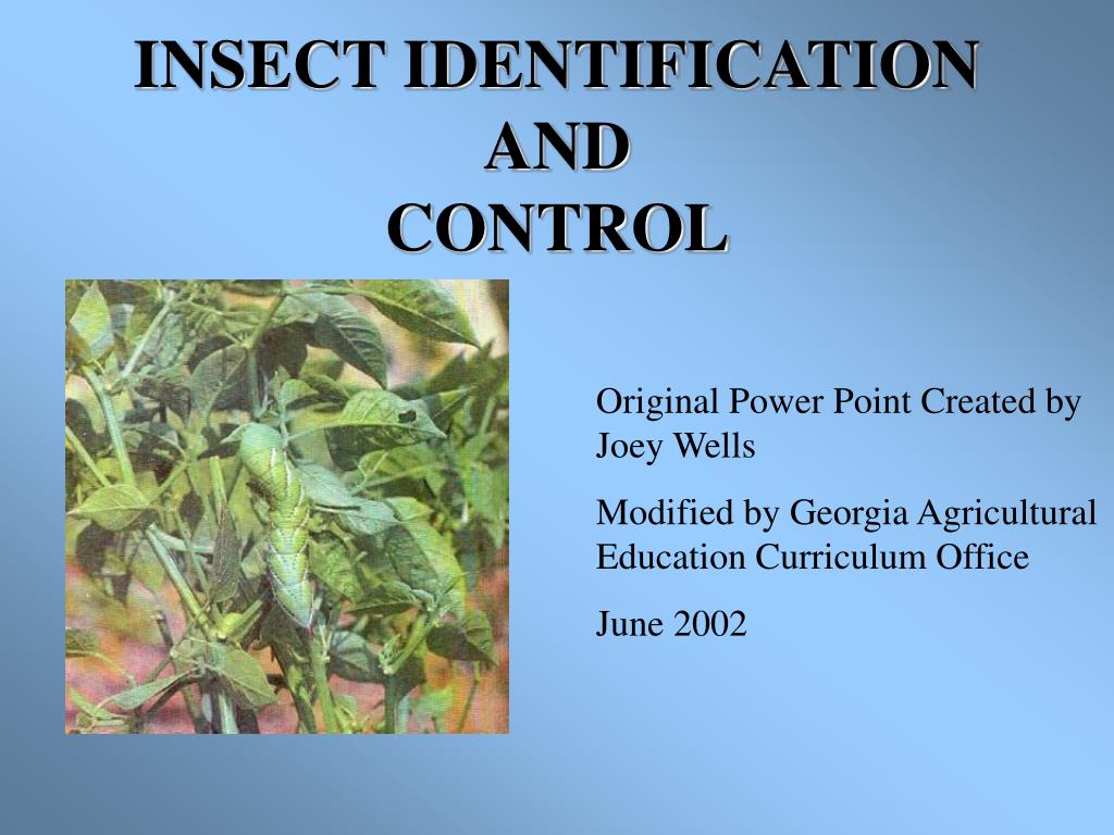 Ppt Insect Identification And Control Powerpoint Presentation Free