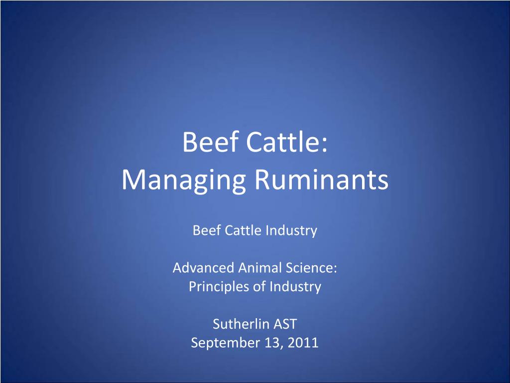 PPT - Beef Cattle: Managing Ruminants PowerPoint Presentation, free ...