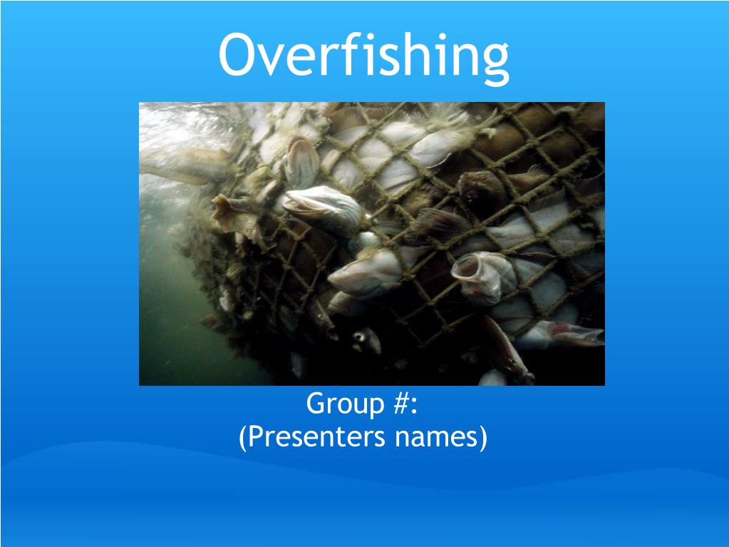 PPT - Overfishing PowerPoint Presentation, free download - ID:5622659
