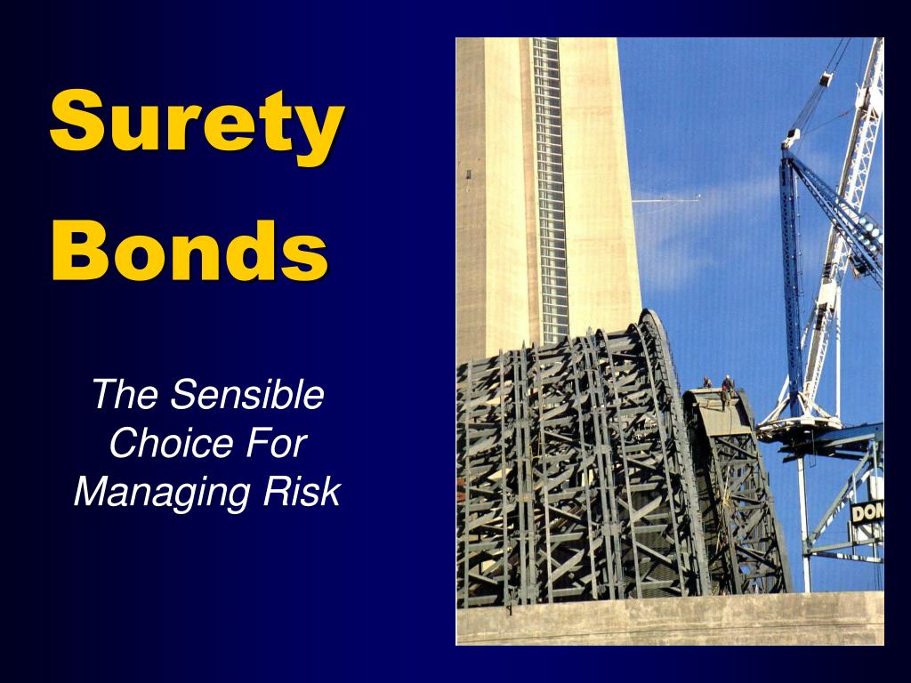 PPT - Surety Bonds PowerPoint Presentation, free download - ID:5623878