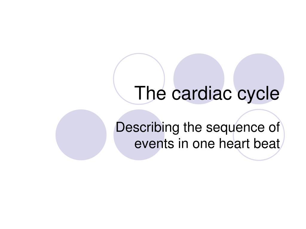 PPT - The cardiac cycle PowerPoint Presentation, free download - ID:5624430