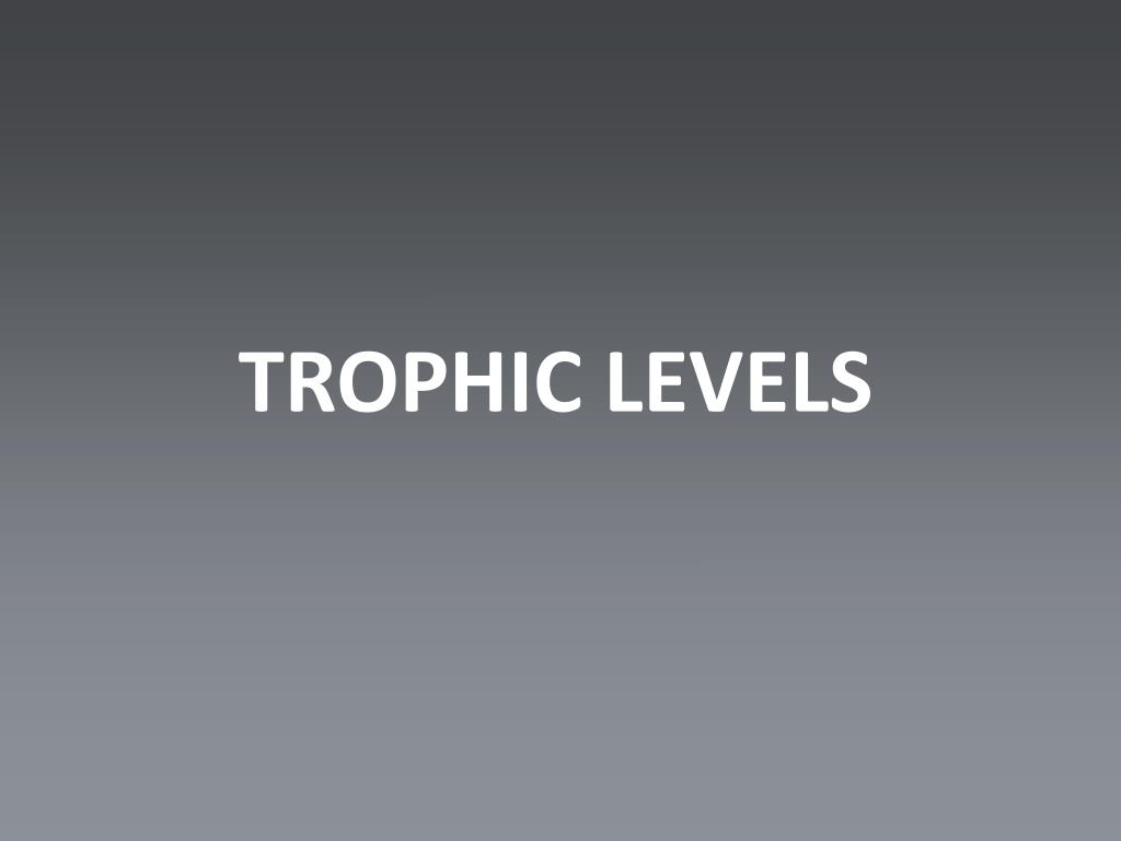 PPT - TROPHIC LEVELS PowerPoint Presentation, free download - ID:5624657