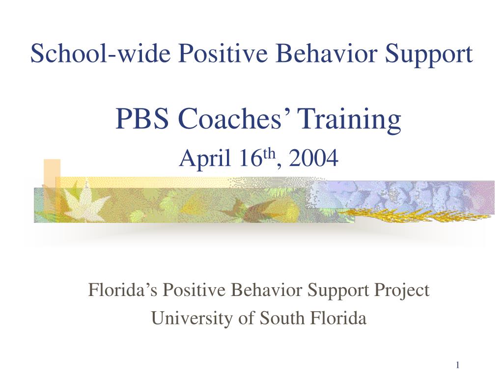 PPT - School-wide Positive Behavior Support PowerPoint Presentation ...