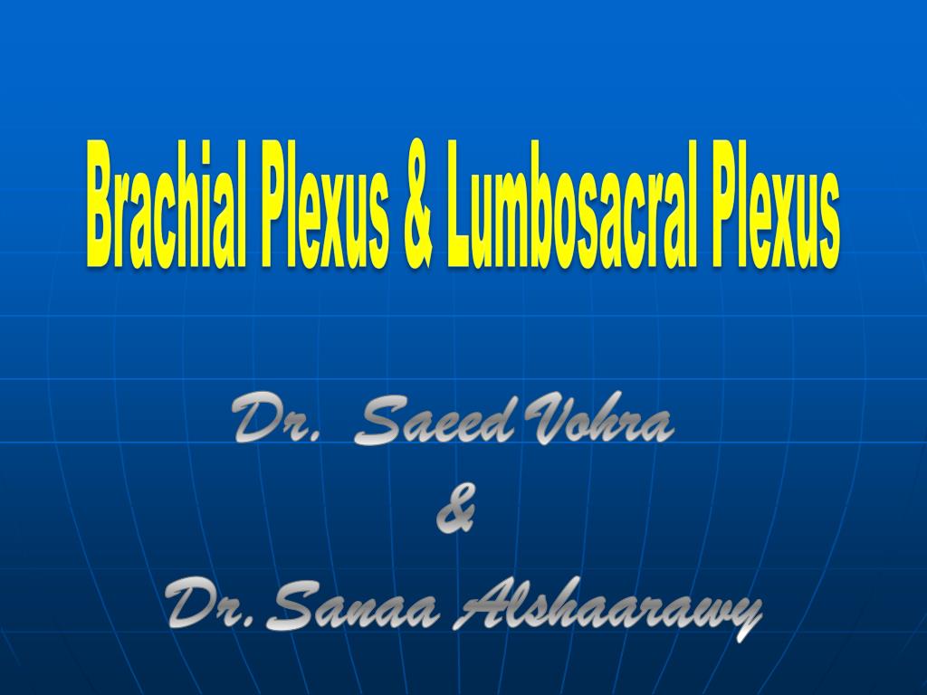 PPT - Brachial Plexus & Lumbosacral Plexus PowerPoint Presentation - ID:5626757