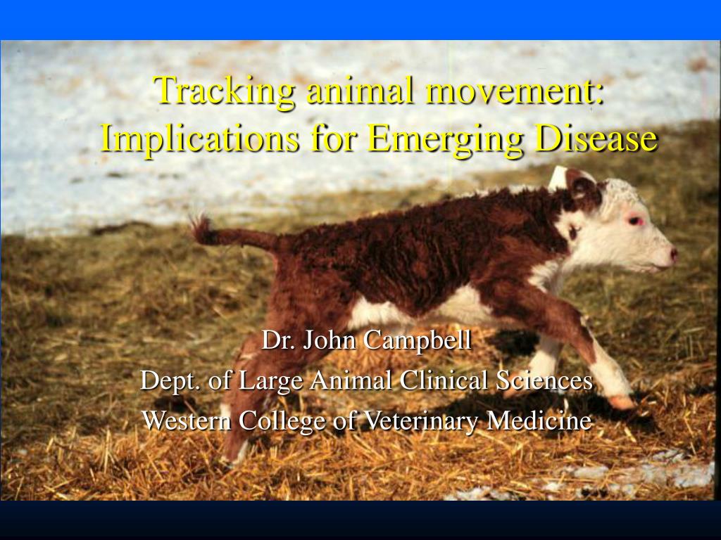 PPT - Tracking animal movement: Implications for Emerging Disease ...