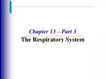 PPT - Chapter 13 Respiratory System PowerPoint Presentation, free ...