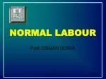 PPT - Normal Labour PowerPoint Presentation, free download - ID:258700
