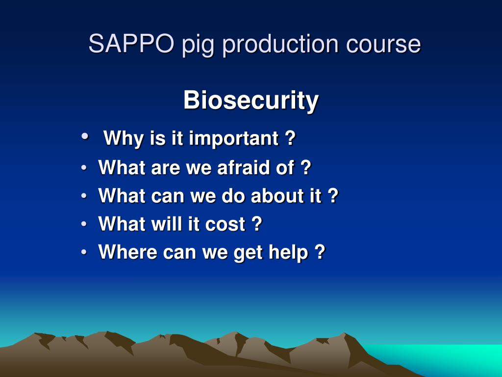 PPT - SAPPO pig production course PowerPoint Presentation, free ...