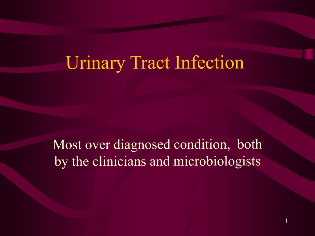 PPT - Urinary Tract Infection PowerPoint Presentation, free download ...