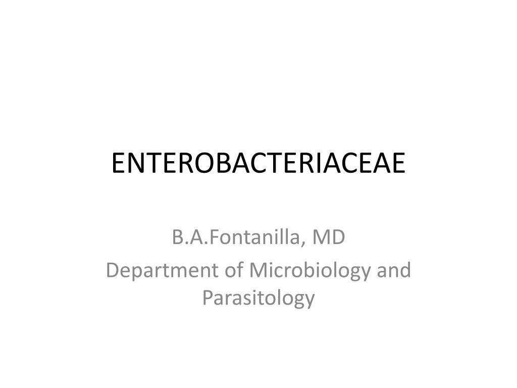 PPT - ENTEROBACTERIACEAE PowerPoint Presentation, free download - ID ...