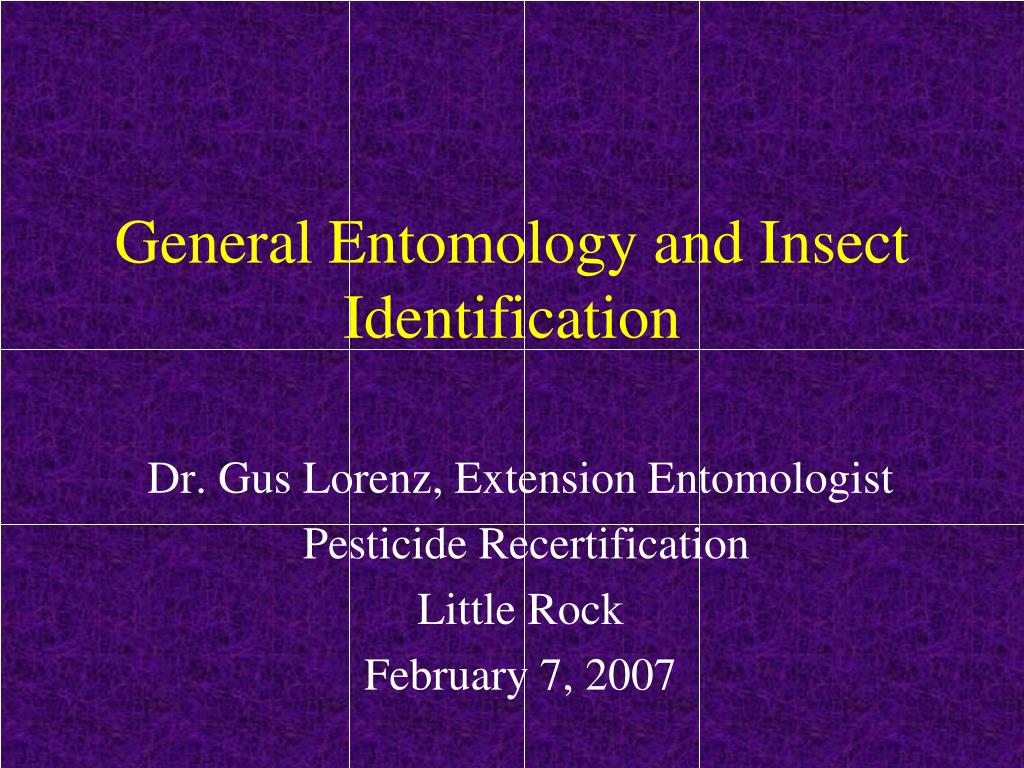 PPT - General Entomology and Insect Identification PowerPoint ...