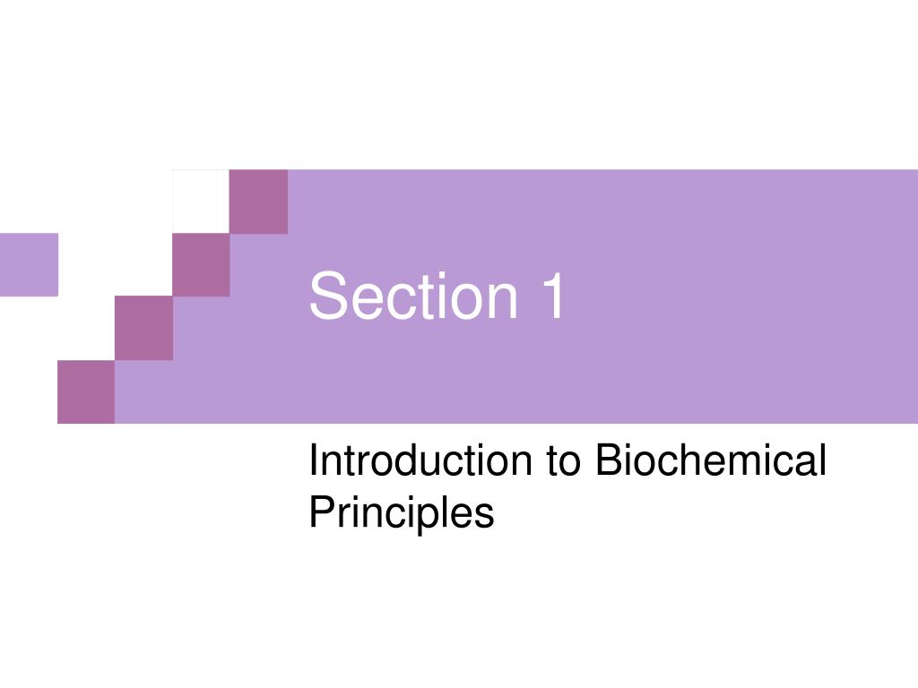 PPT - Section 1 PowerPoint Presentation, free download - ID:5632536