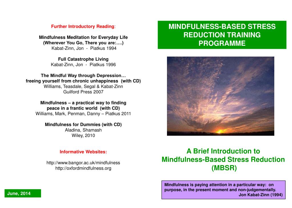 PPT - MINDFULNESS-BASED STRESS REDUCTION TRAINING PROGRAMME PowerPoint ...